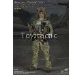 TOYZTACTIC |1/6 Action figure | military figure | toy soldier