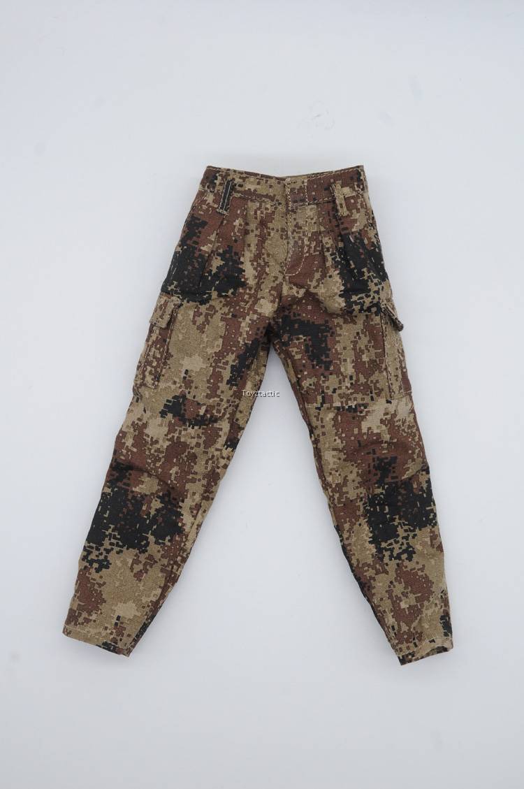 Soldier Story SS119 1/6 PLA Army Special Force “Falcon 2015” - PLA Army ...