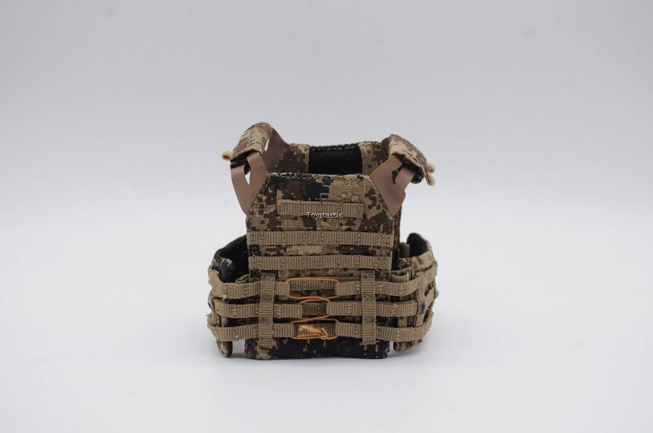 Soldier Story SS119 1/6 PLA Army Special Force “Falcon 2015” - Tactical ...