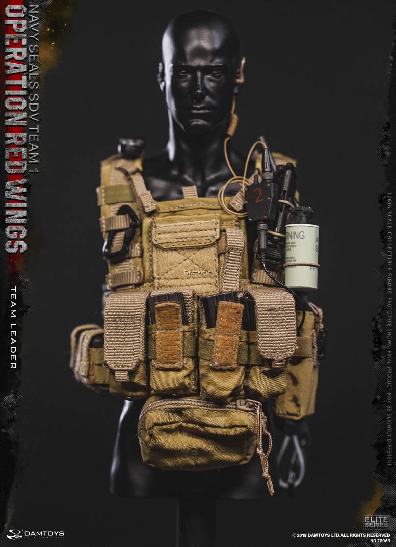 DAMTOYS 78069 1/6 Navy Seals SDV Team 1 - Operation Red Wing