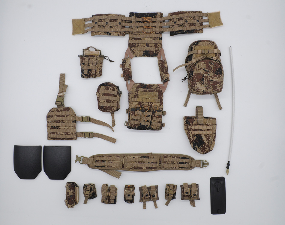 Soldier Story SS119 1/6 PLA Army Special Force “Falcon 2015” - Tactical ...